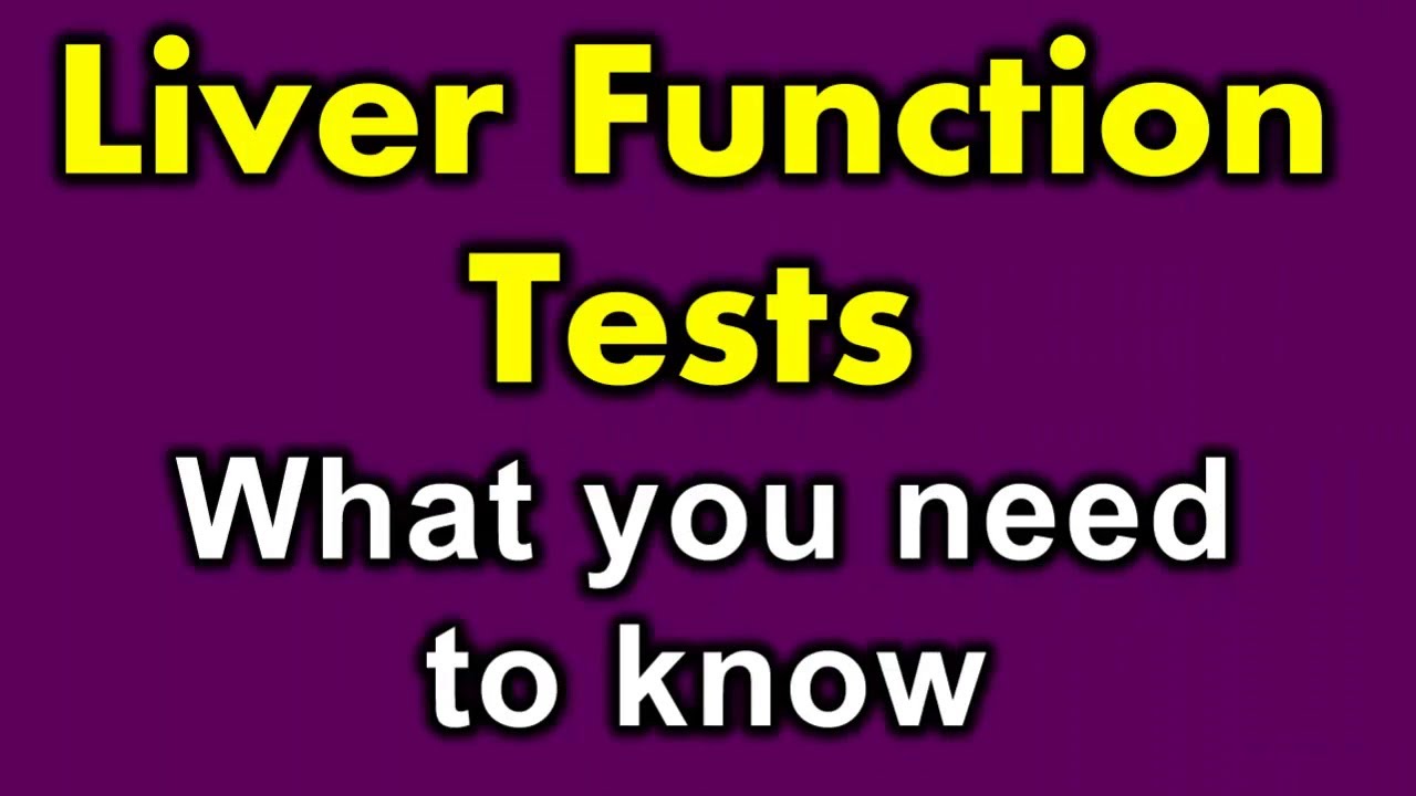 LIVER function tests explained | What you need to know about liver ...