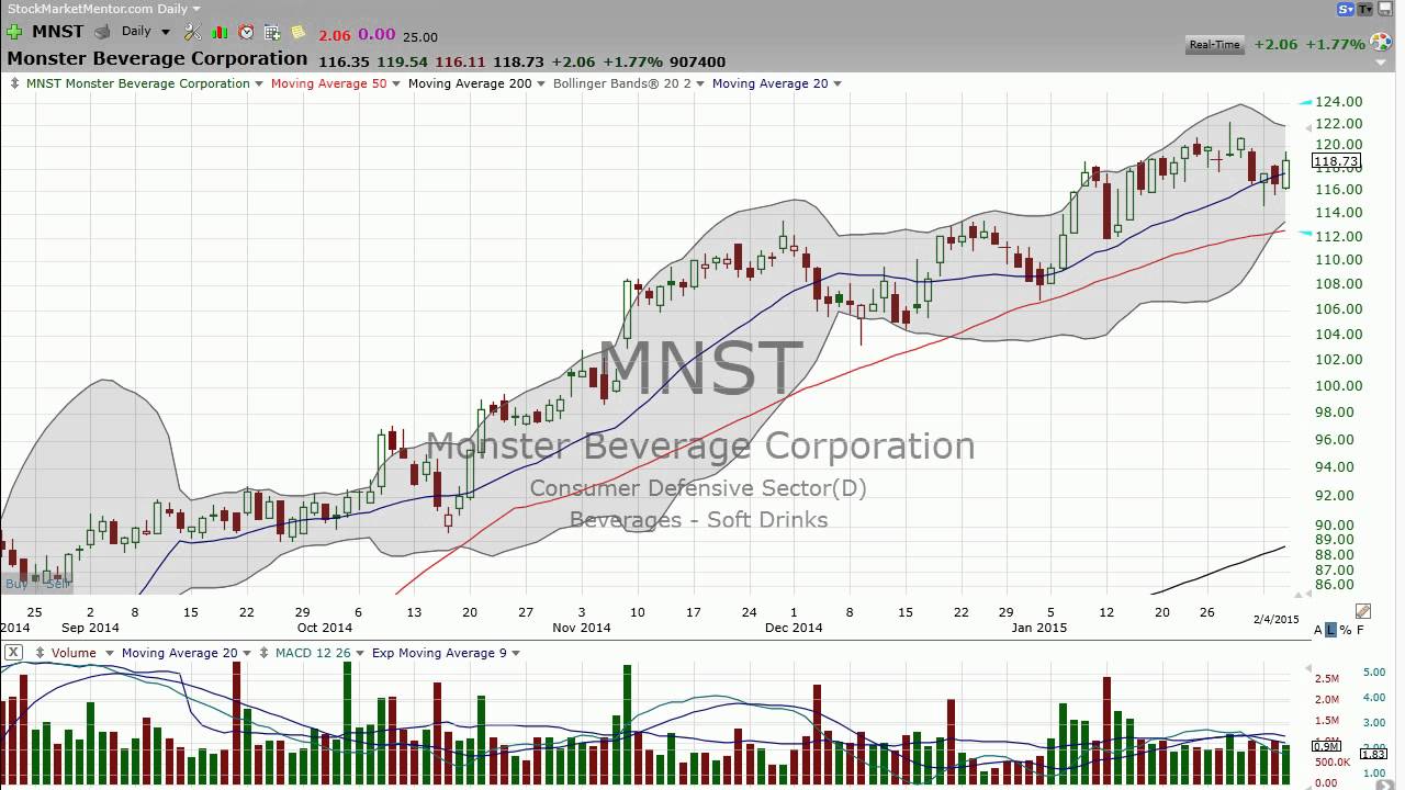 You won't believe what this safe haven is. It's a monster. (February 04 ...