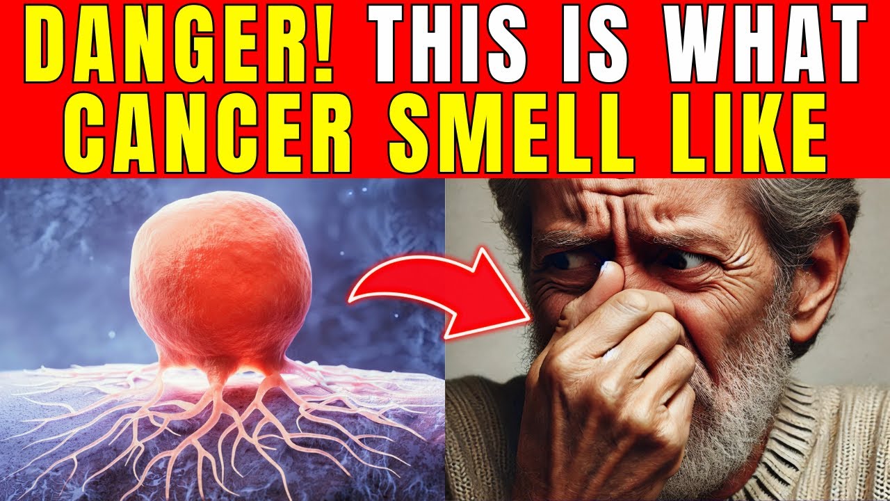 🚨ALERT! HERE ARE 8 CANCER SMELLS PEOPLE DON'T PAY ATTENTION TO ...
