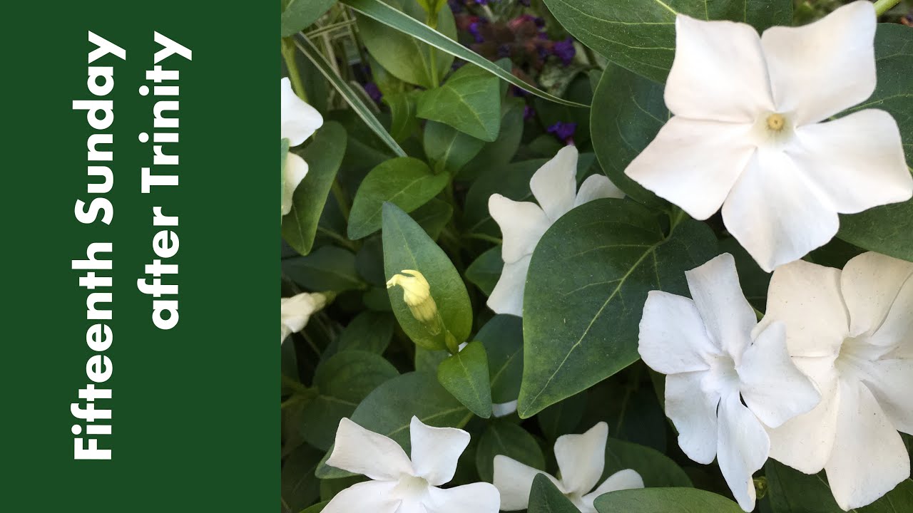 Eucharist for the Fifteenth Sunday after Trinity - YouTube