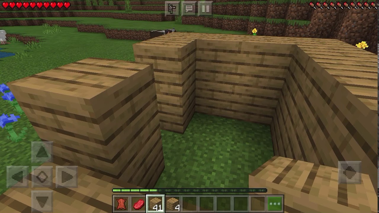 Surviving Minecraft challenge: survival (1) - YouTube