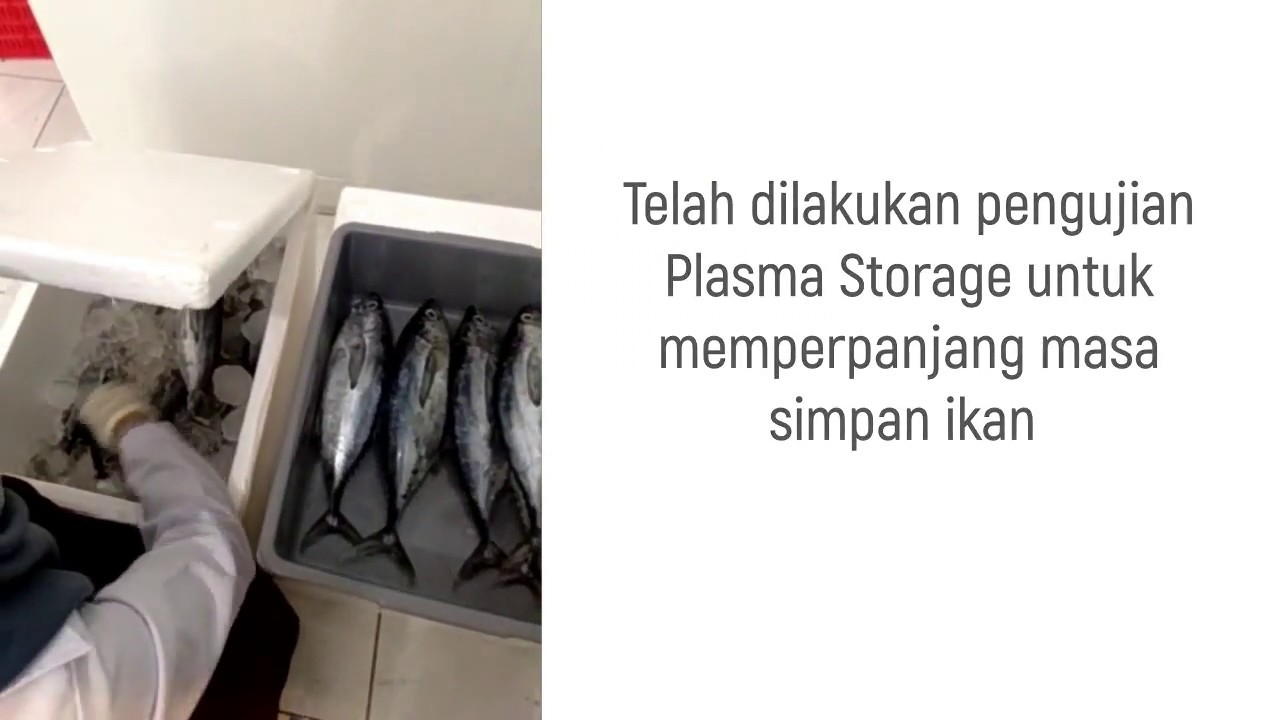 BOX STORAGE OZONE TECHNOLOGY FOR FISH - YouTube