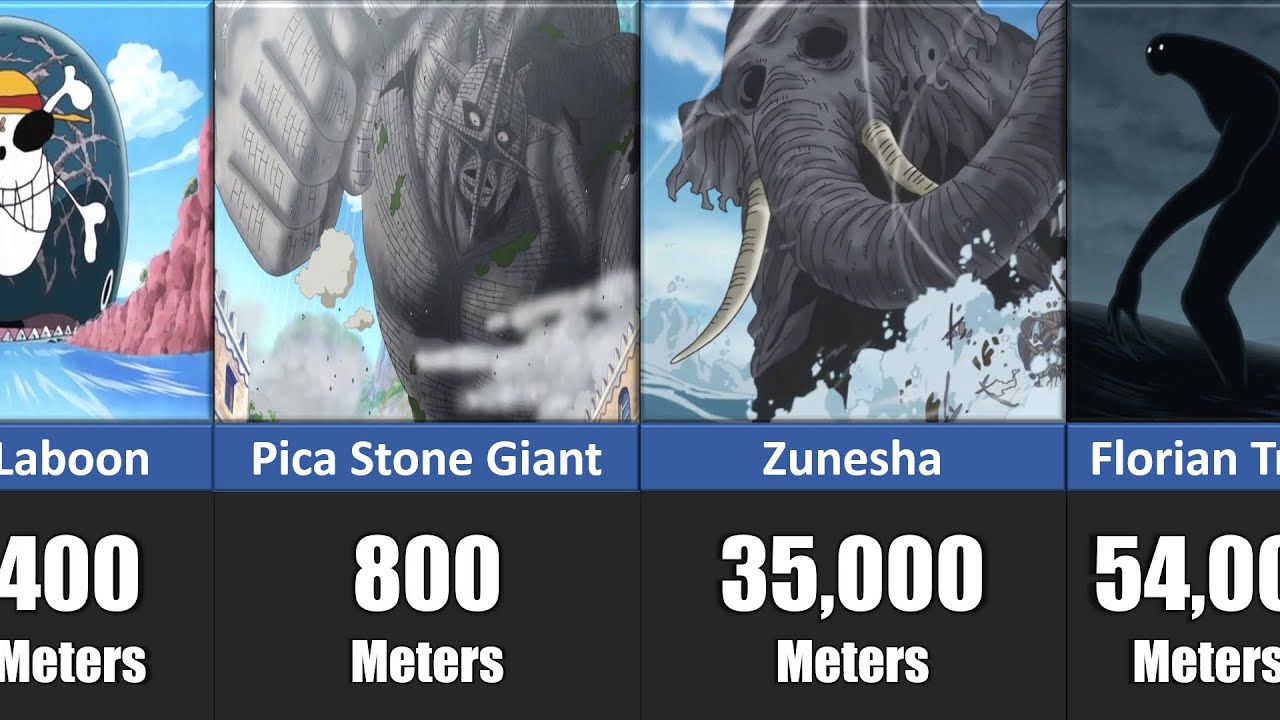 The Biggest Characters In One Piece - YouTube