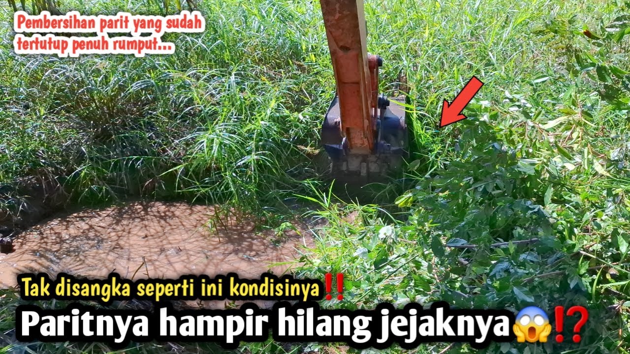 Tak disangka seperti ini kondisinya‼️Paritnya hampir hilang jejaknya😱⁉ ...