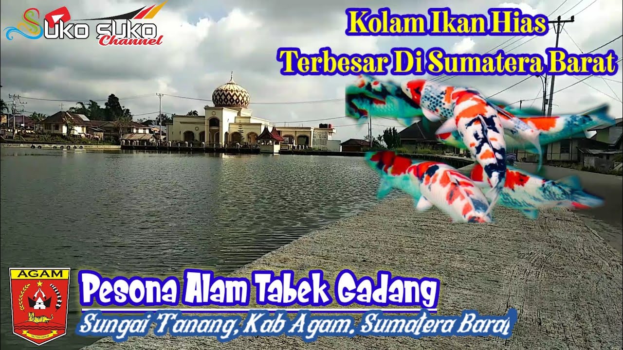 Pesona Alam Tabek Gadang || Nagari Sungai Tanang Kabupaten Agam ...