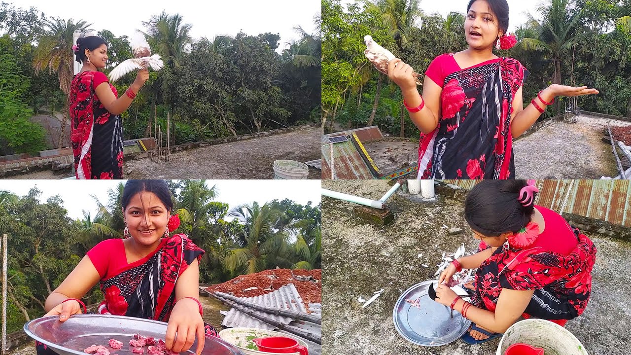 Best way to slaughter a pigeon for women is to slaughter it under your ...