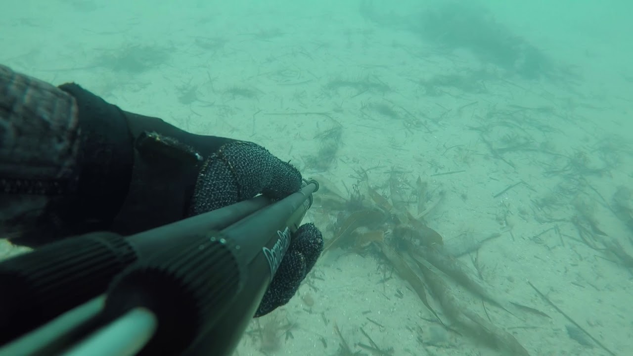 Scalloping in the UK - YouTube