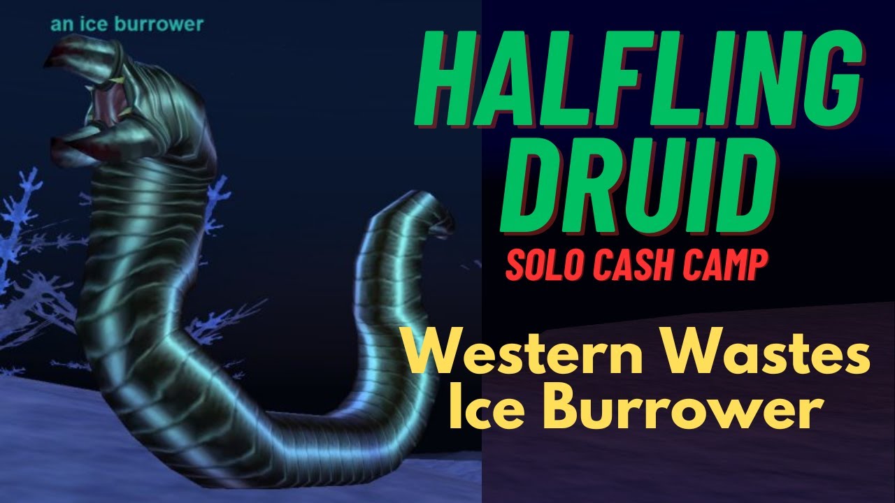 Halfling Druid (Cash Camp) - Western Wastes - Ice Burrower - Project ...