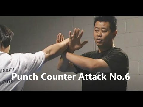 Punch Counter Attack No.6 #foryou#SelfDefense#Gongfu#Qinna - YouTube