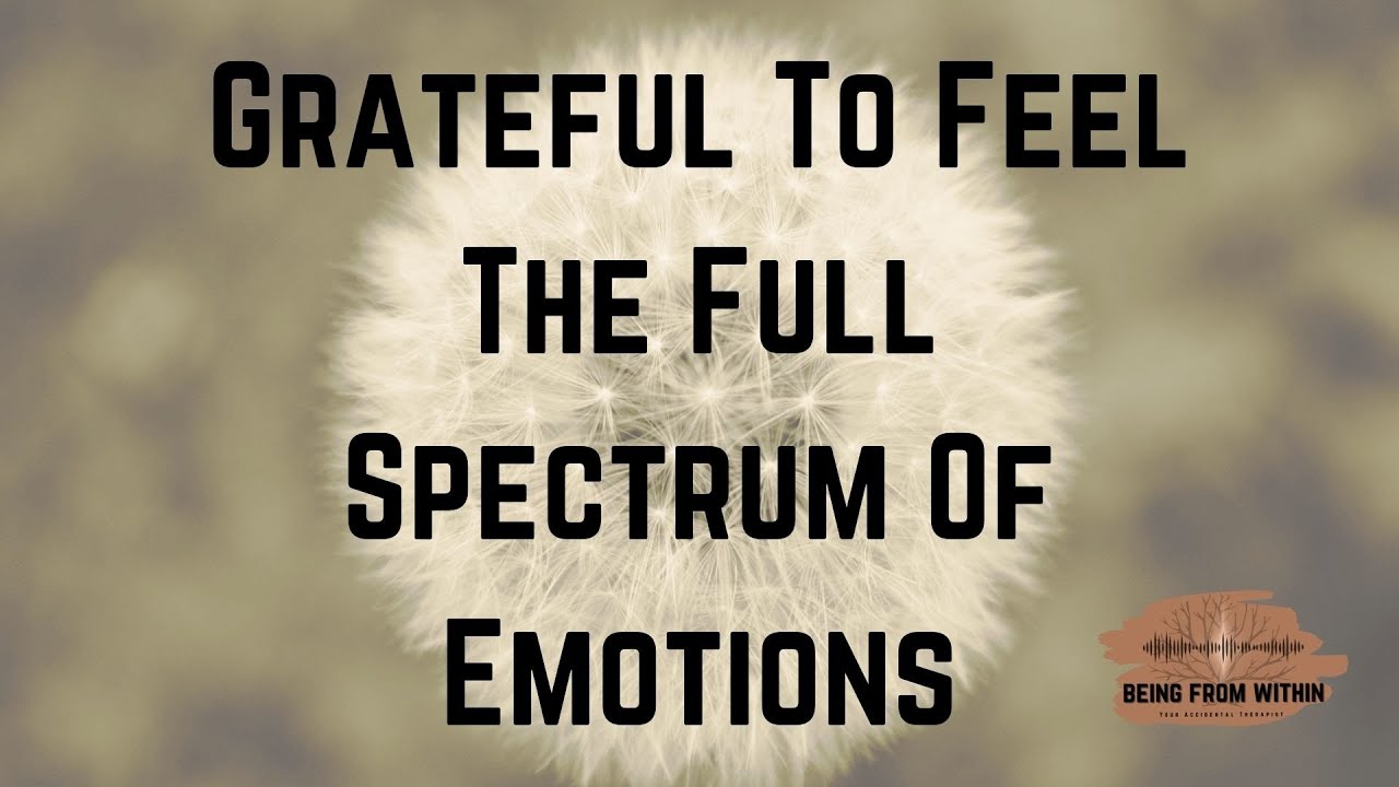 Grateful for feeling the full spectrum of emotions | Gratitude for ...