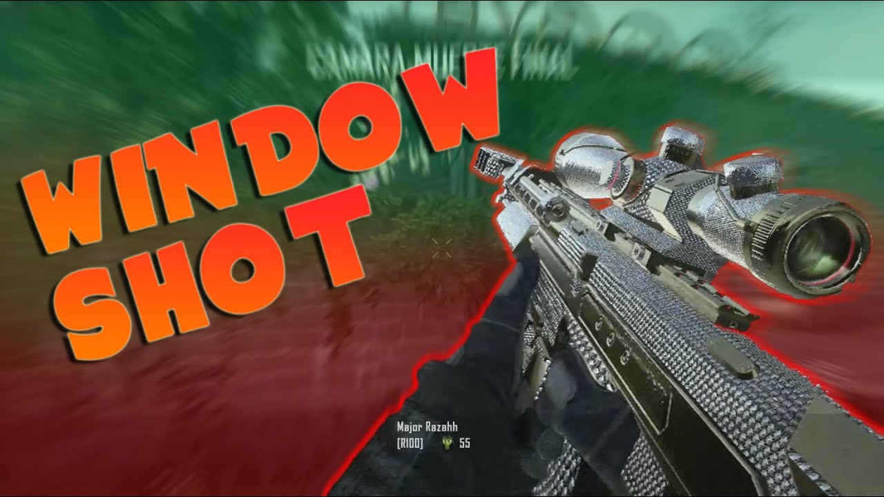 FINALLY I HIT THE WINDOW SHOT! - YouTube
