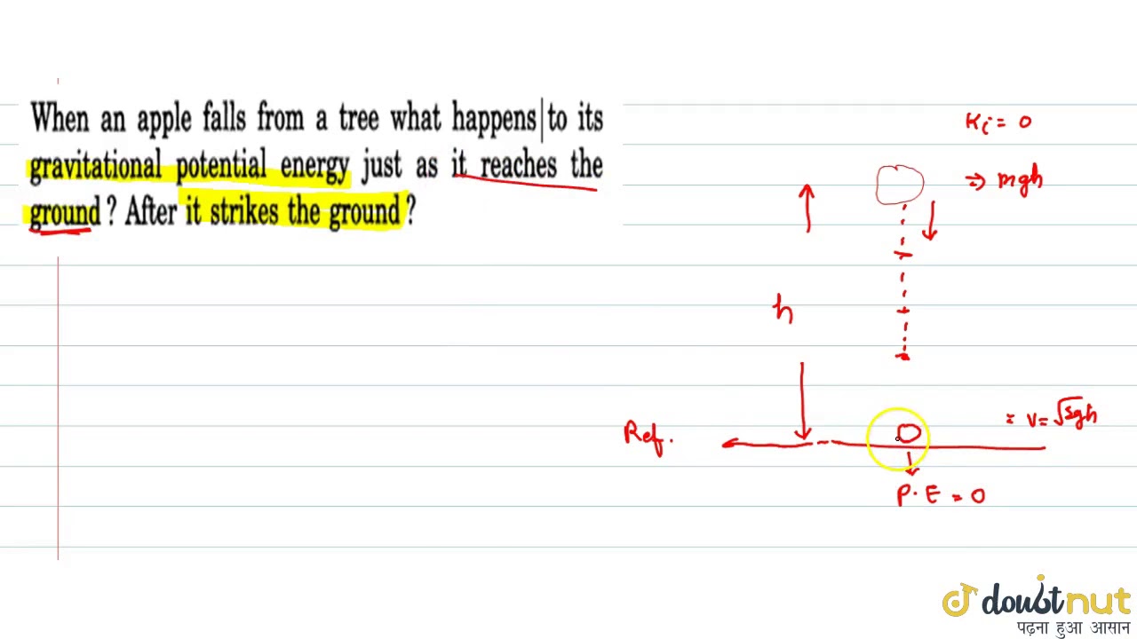 When an apple falls from a tree what happens to its gravitational ...