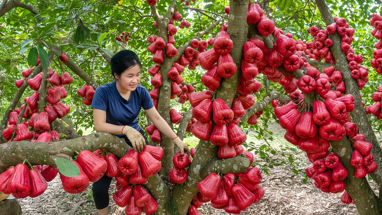 I Spent 24 Hours Building a Farm and Harvesting Bell Fruit To Sell At ...