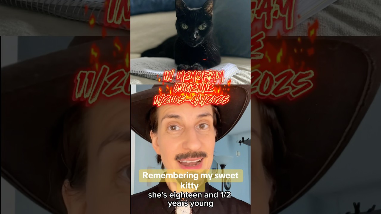 TBW- Sunny Chatum remembers the moment his kitty showed her true colors ...