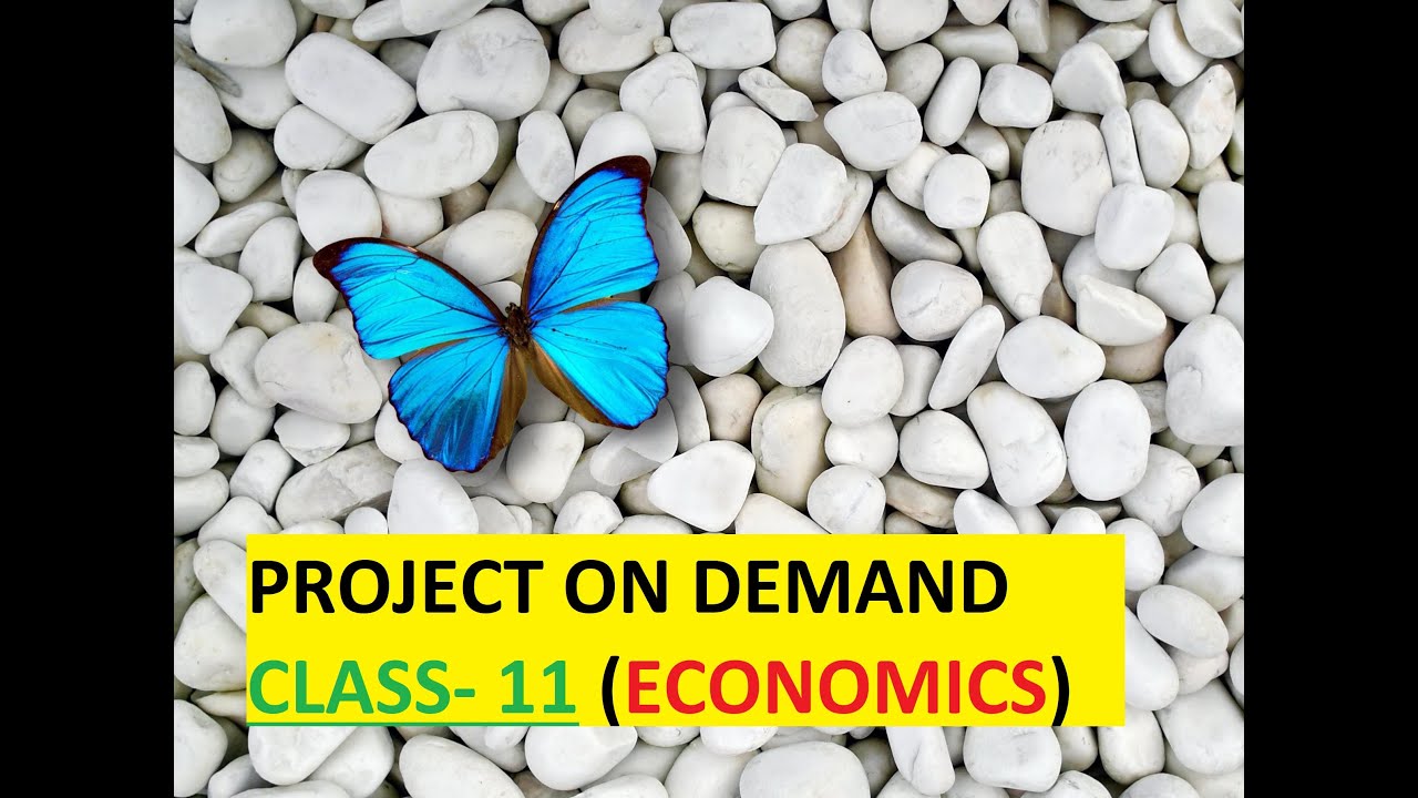 PROJECT ON DEMAND||CLASS-11 Economics|| CBSE - YouTube