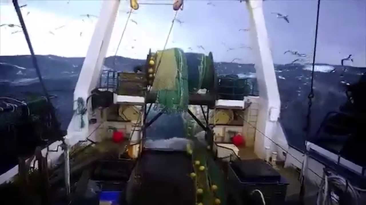 Fisheries and aquaculture - new markets, new opportunities: Arthur ...