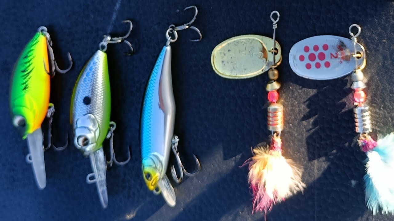 Tiny lure challenge for fresh water fishing - YouTube
