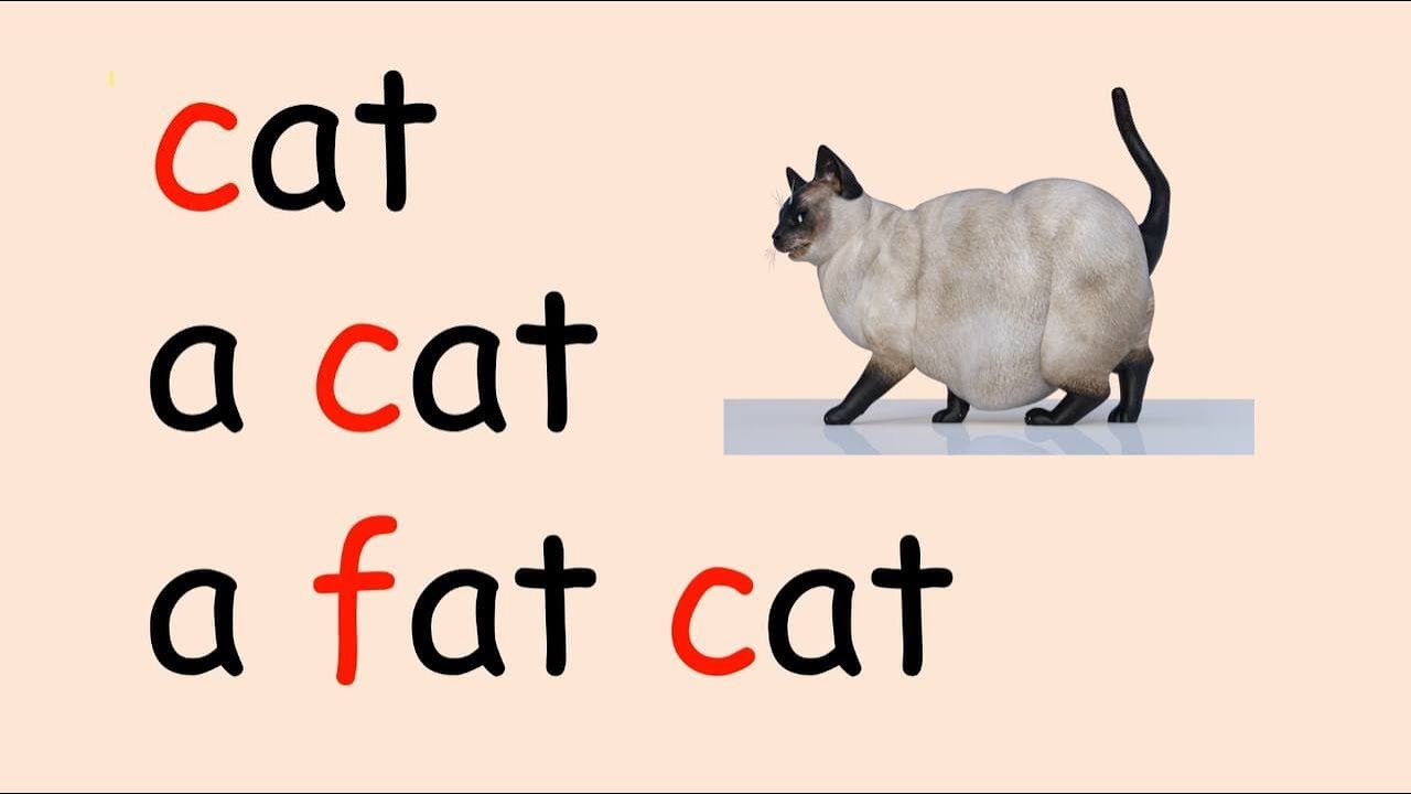 Let's Read! English for Preschool (Part 1) - YouTube