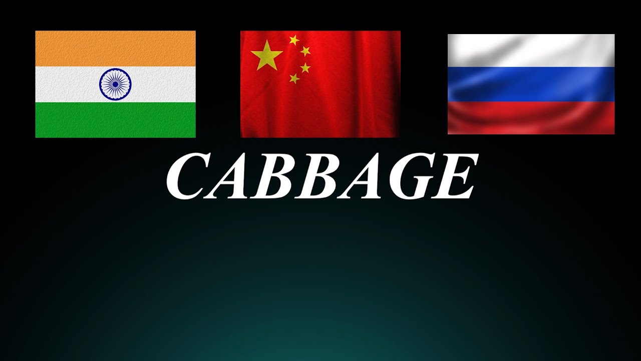 Learn How to Pronounce 'Cabbage'! The Essential Guide - YouTube