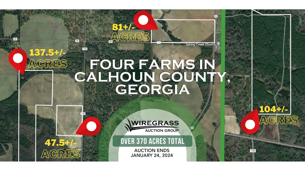 370 54 Total Acres In Calhoun County Georgia Auction Ends