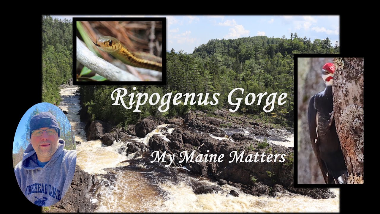Maine - Moosehead Lake to Ripogenus Gorge. Stories from the north woods ...