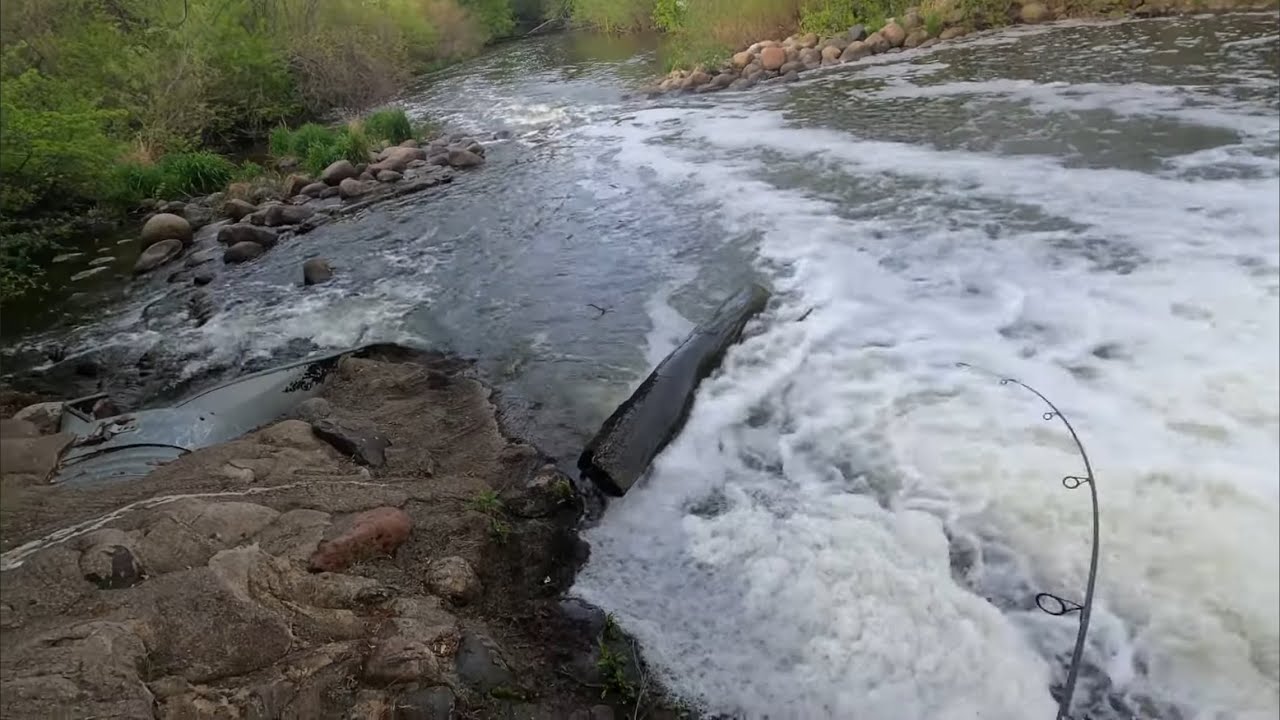 Big Fish in MN Creek - YouTube