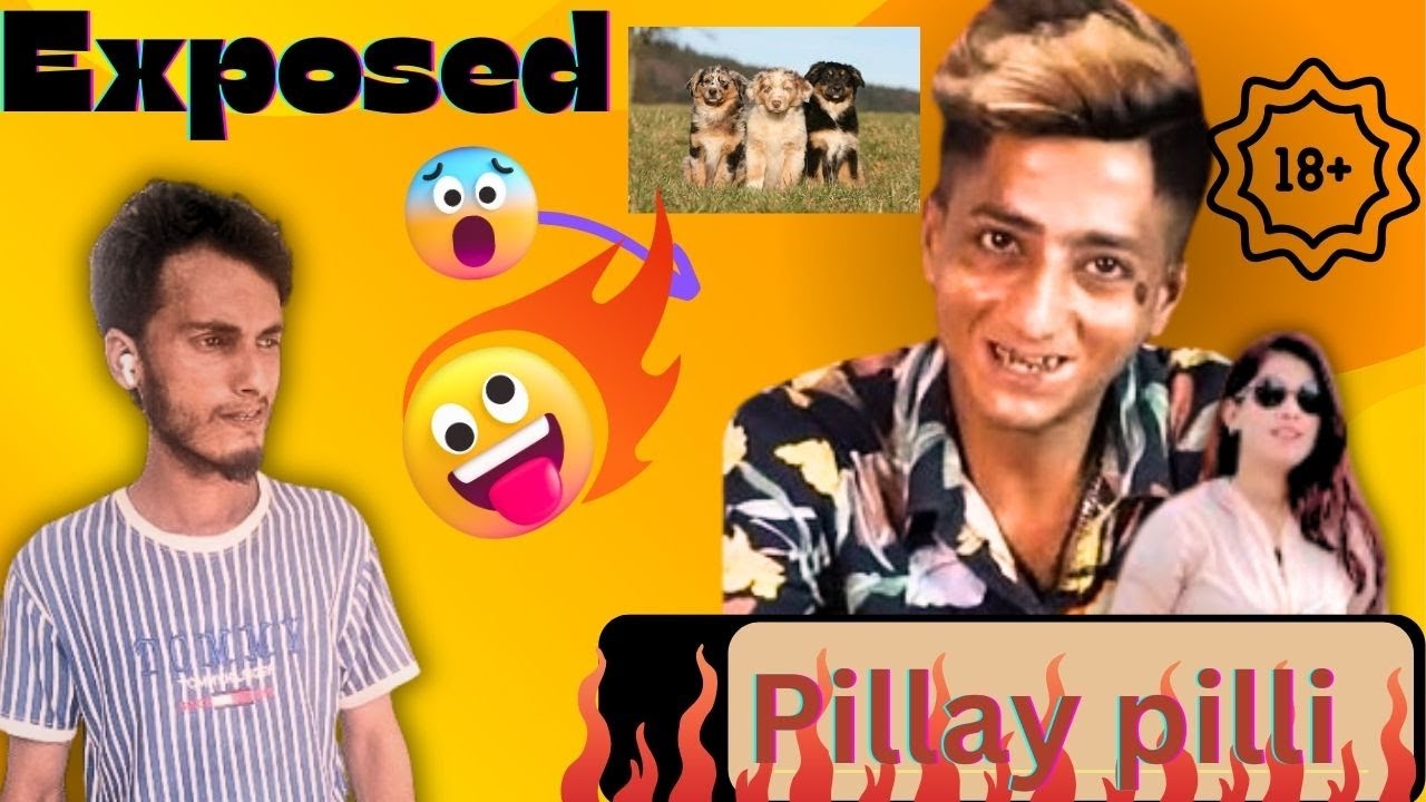 Pakistani celebrate 321 pilay exposed, cheema TV, - YouTube