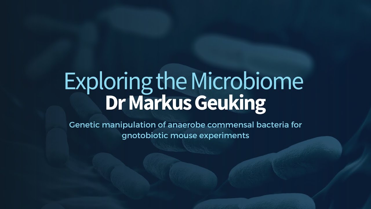 Dr M Geuking: Genetic manipulation of anaerobe commensal bacteria for ...