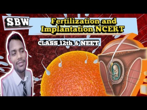 fertilization and implantation class 12 ।#neet।#zoology।।# ...
