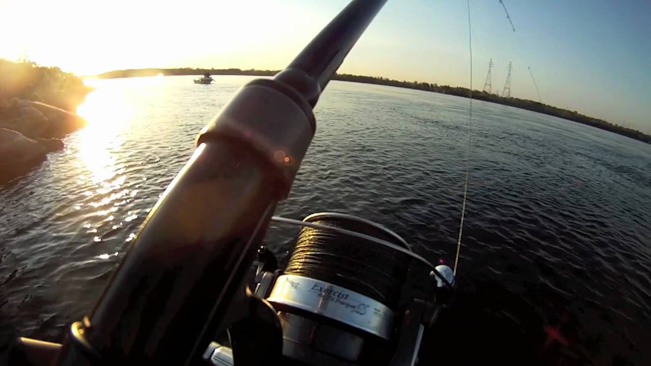 30lbs Carp Run on GoPro Camera - YouTube