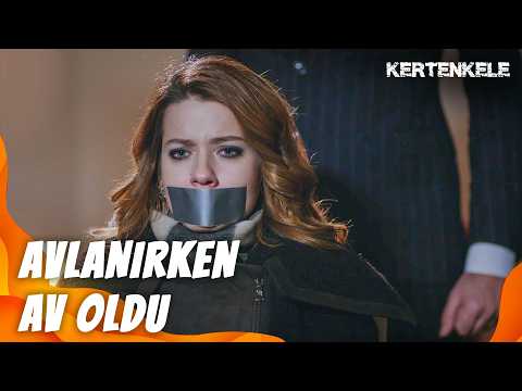 Zehra, Ziya'nın peşinden giderken kaçırıldı - Kertenkele 49. Bölüm