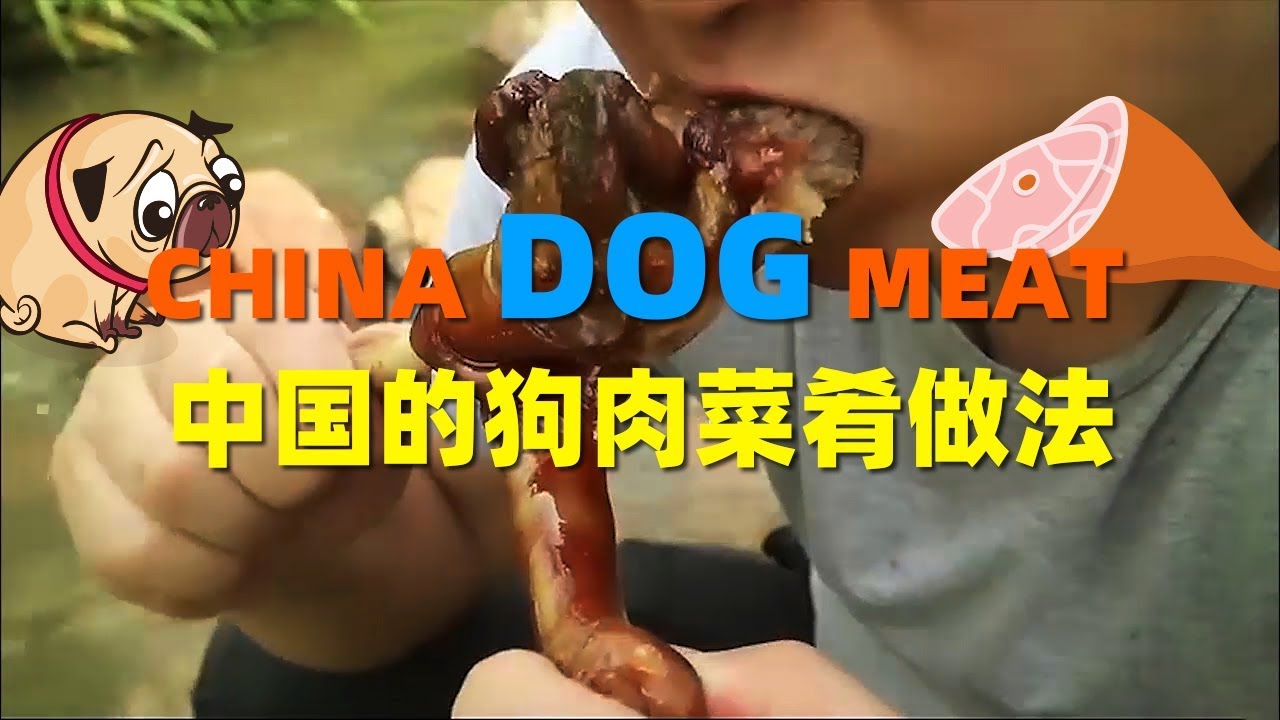 特殊的中国狗肉菜肴 Special dog dishes from China - YouTube
