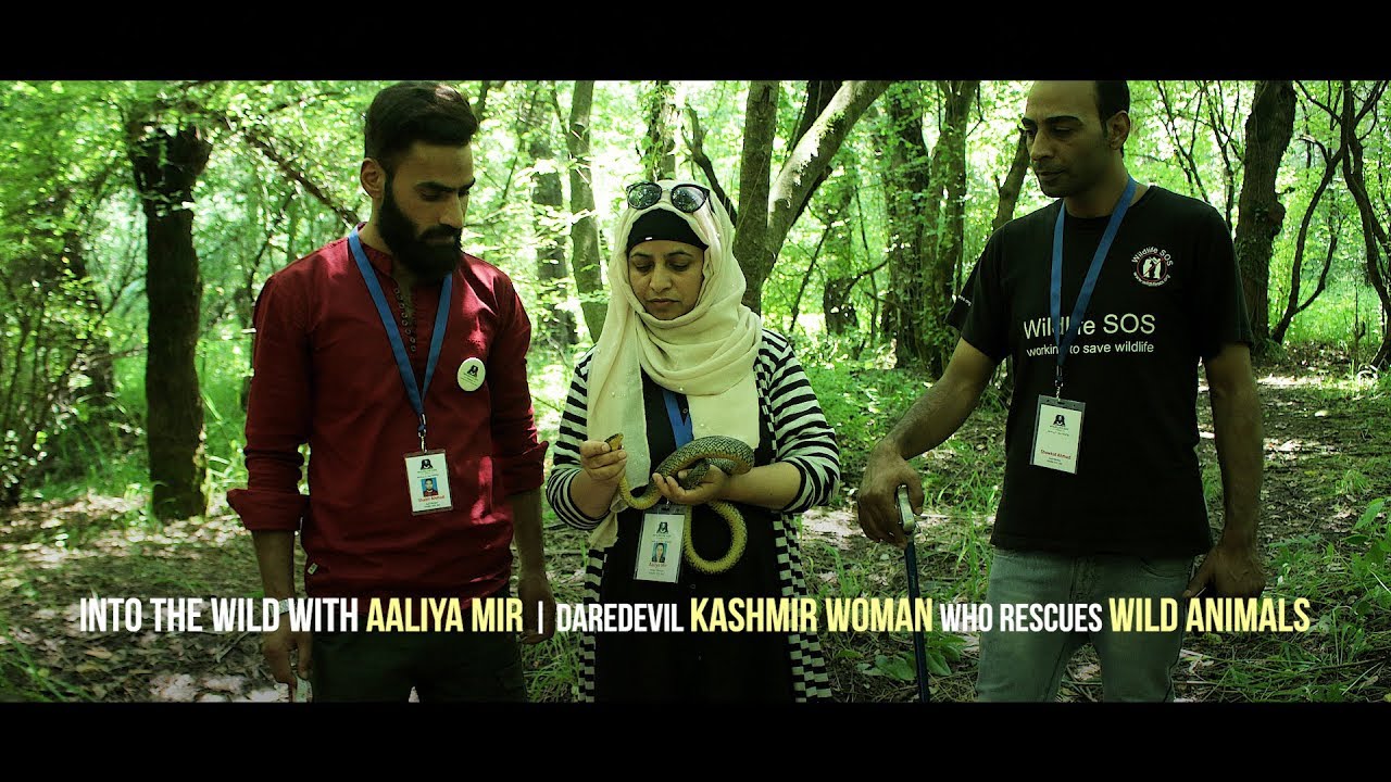 Into the wild with Aaliya Mir | Daredevil Kashmir woman who rescues ...