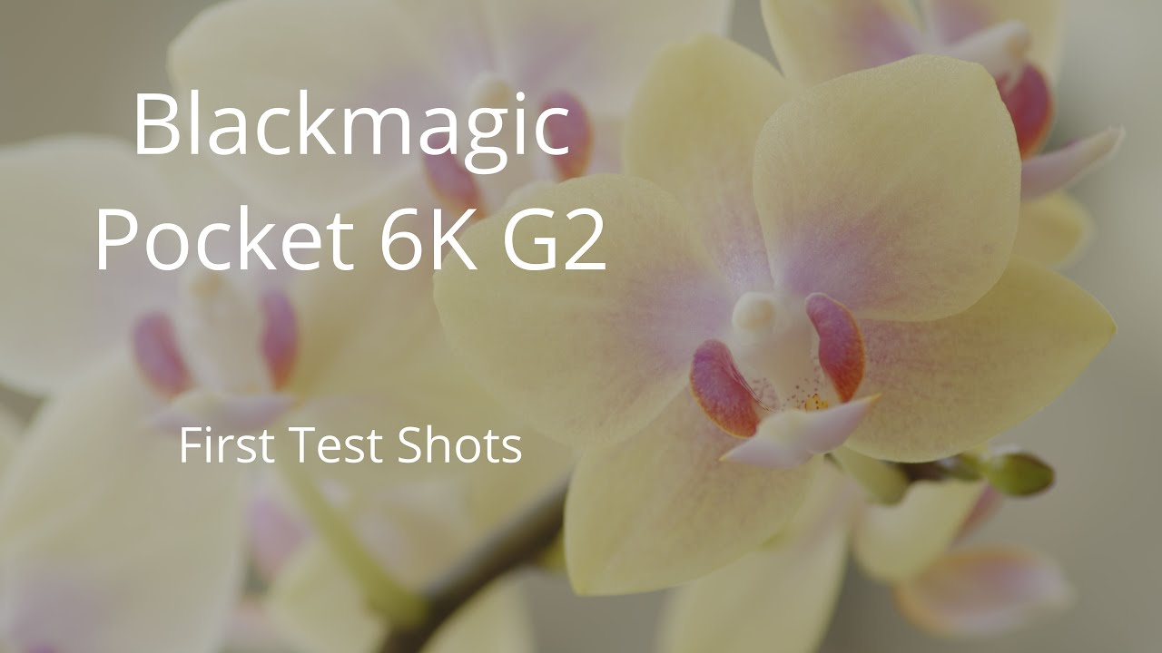 Blackmagic Pocket Cinema Camera (BMPCC) 6K G2 - First test footage ...