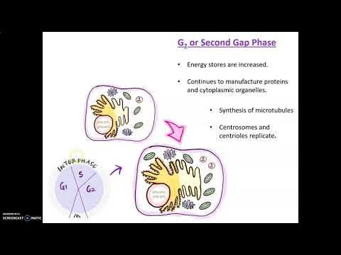 LECTURE CHAPTER 3 PART 2 - YouTube