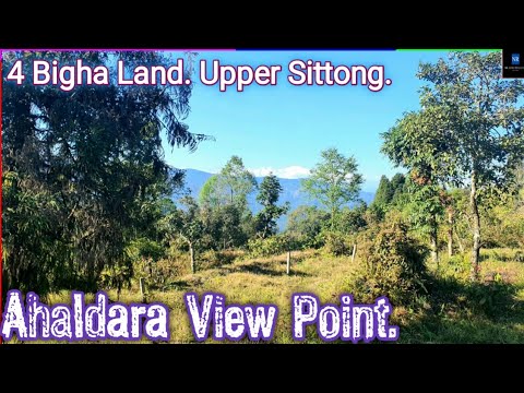 4 Bigha, Sittong, Darjeeling Hills Property @ Rs. 2.75 Cr. 360° View ...