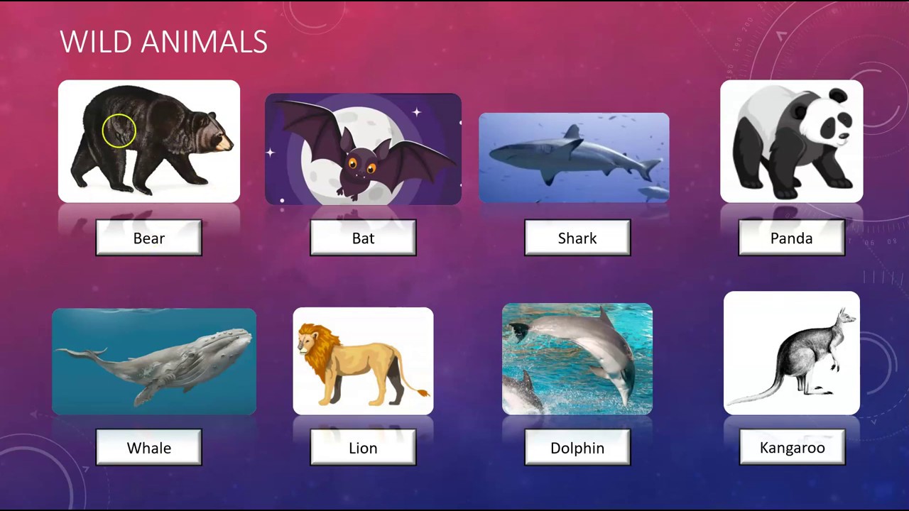 Wild animals. Describing animals and habitats. - YouTube
