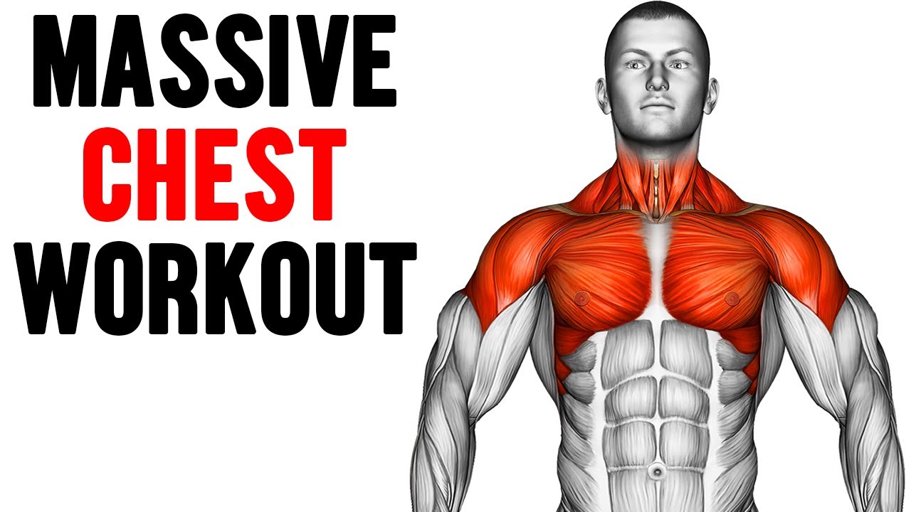 How to Build a Massive Chest - The Perfect Chest Workout Routine - YouTube