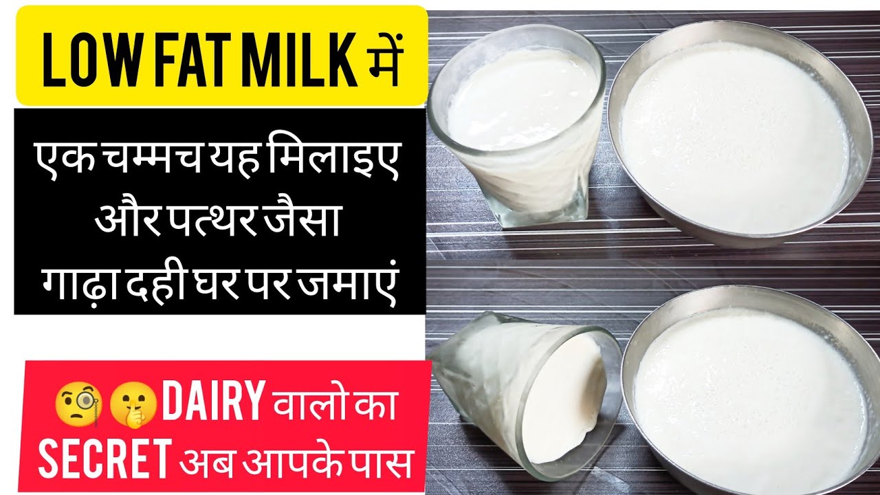 How To Make Low Fat Curd/Yogurt At Home|Dahi Recipe In Hindi|Dahi For ...