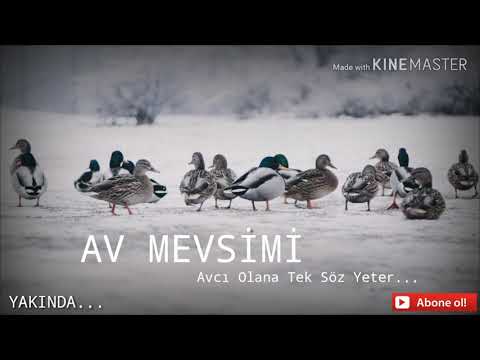 Av Mevsimi Başlıyor...