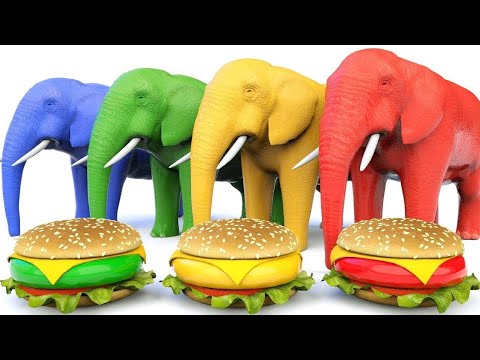 The Funny color cartoon video for kids Guide For Everyone - YouTube