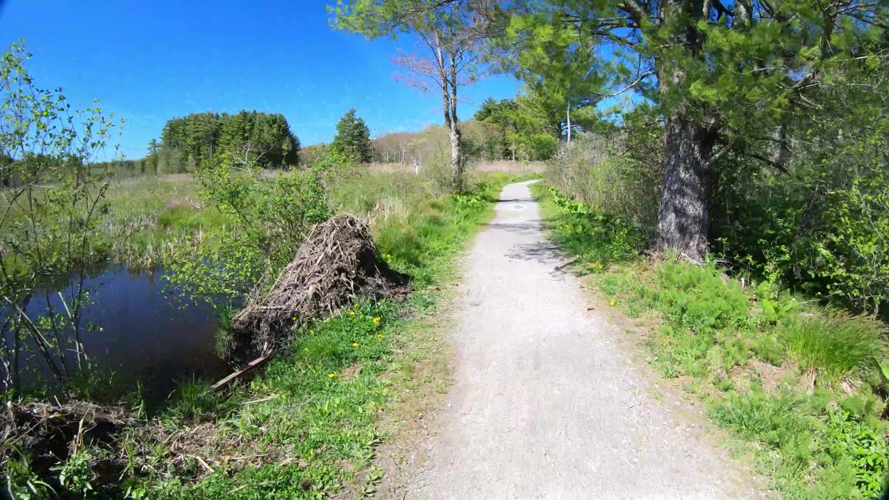 Nature Walk GoPro Hero7 Black 4K - YouTube