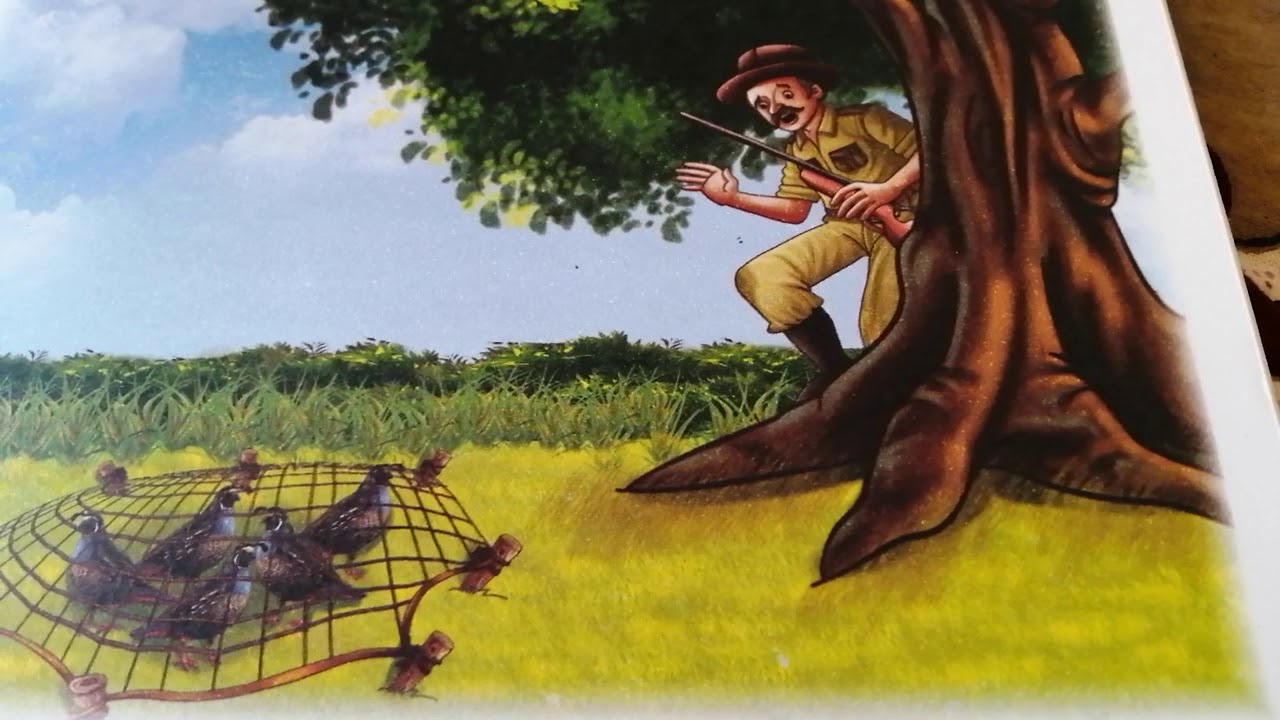 The pigeons and the Hunter moral stories - YouTube