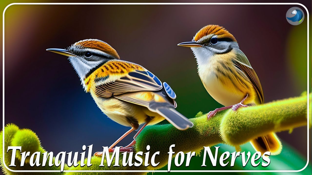 Tranquil Music for Nerves 🌿 Serene Music for Relaxation, Heart Healing ...
