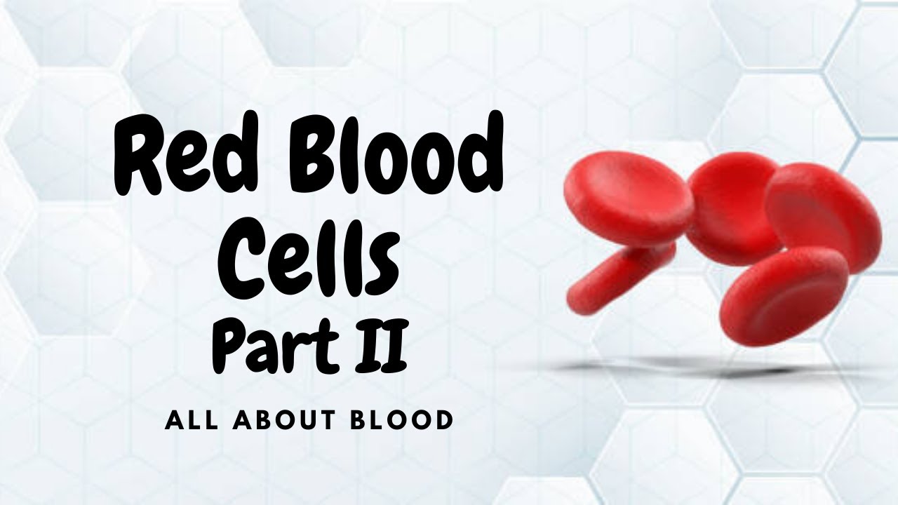 Red Blood Cells/Conditions and Disorders of Red Blood cells/Part II ...