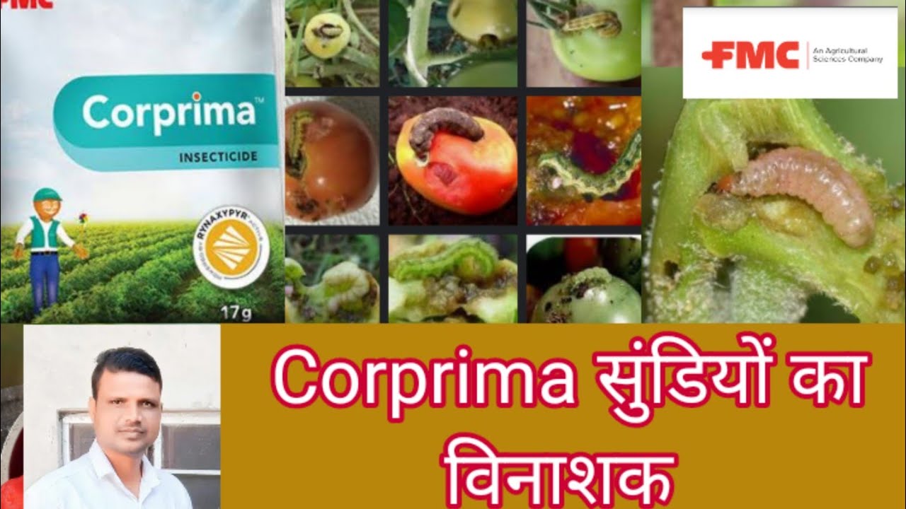 Corprima FMC Insecticide,New lounch product 2022 - YouTube