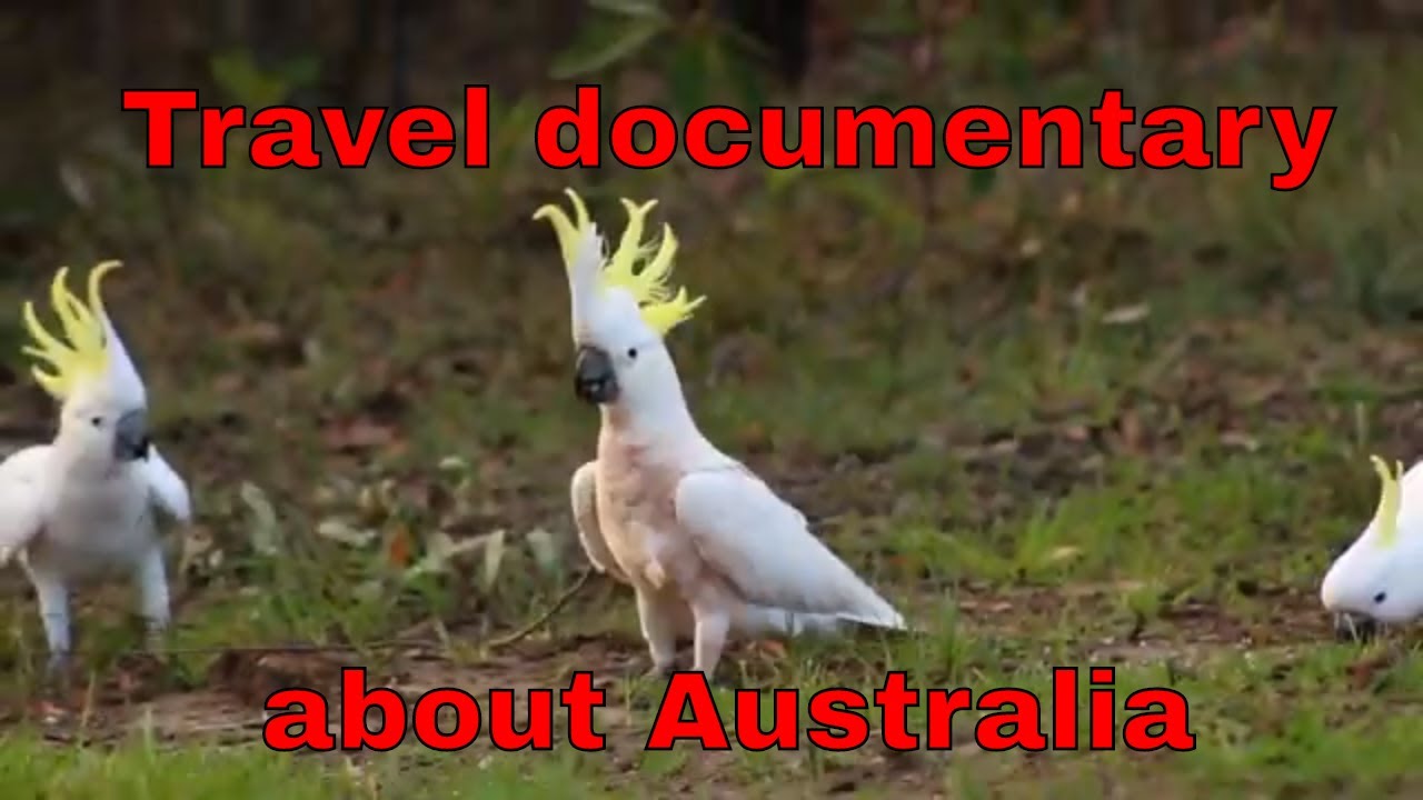 Travel documentary about Australia - YouTube