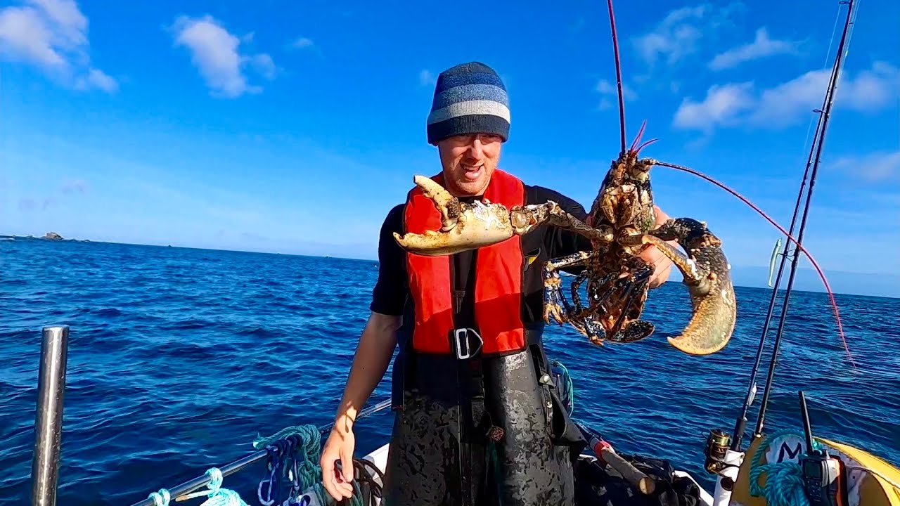 Commercial Lobster Fishing From a Super Dingy ! Big Lobsters , Catch ...
