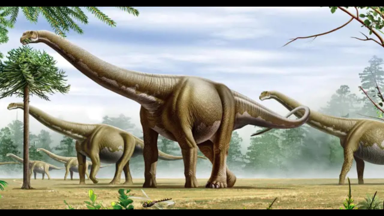 Динозавры отряд ЗАУРОПОДЫ, Ceratopsia - YouTube