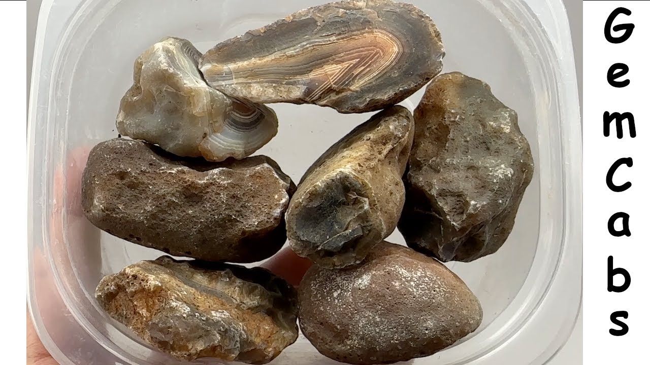 Group of Botswana Agates Cut Open to Reveal the Beauty Inside 09 02 24 ...